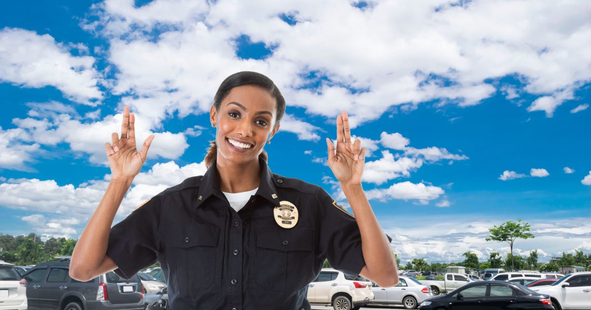 Parking Enforcement Officer Role and Responsibilities